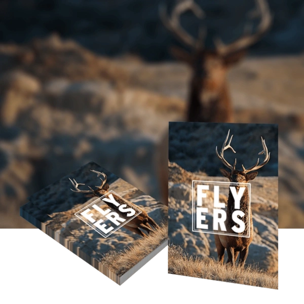 Flat & Creased Leaflets | Plusprint